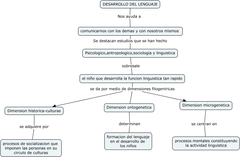 DESARROLLO DEL LENGUAJE
